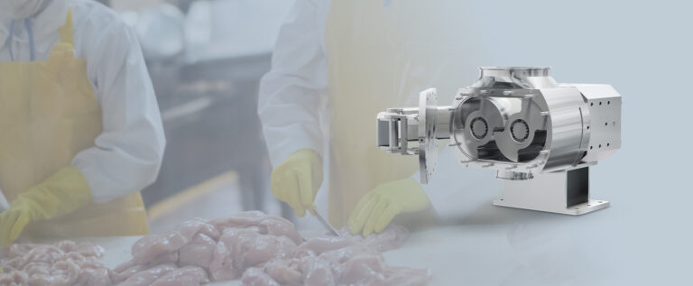 Hygienic & Food-Grade Positive Displacement Pumps